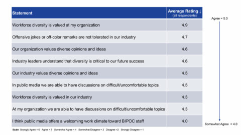 Survey Reveals Differing Views About DEI Progress in Public Media ...
